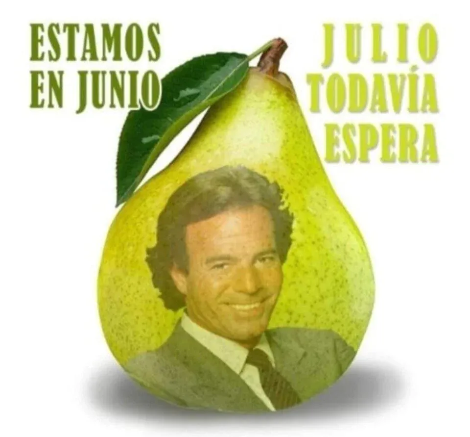 Se termina julio pero no paran los memes de Julio Iglesias