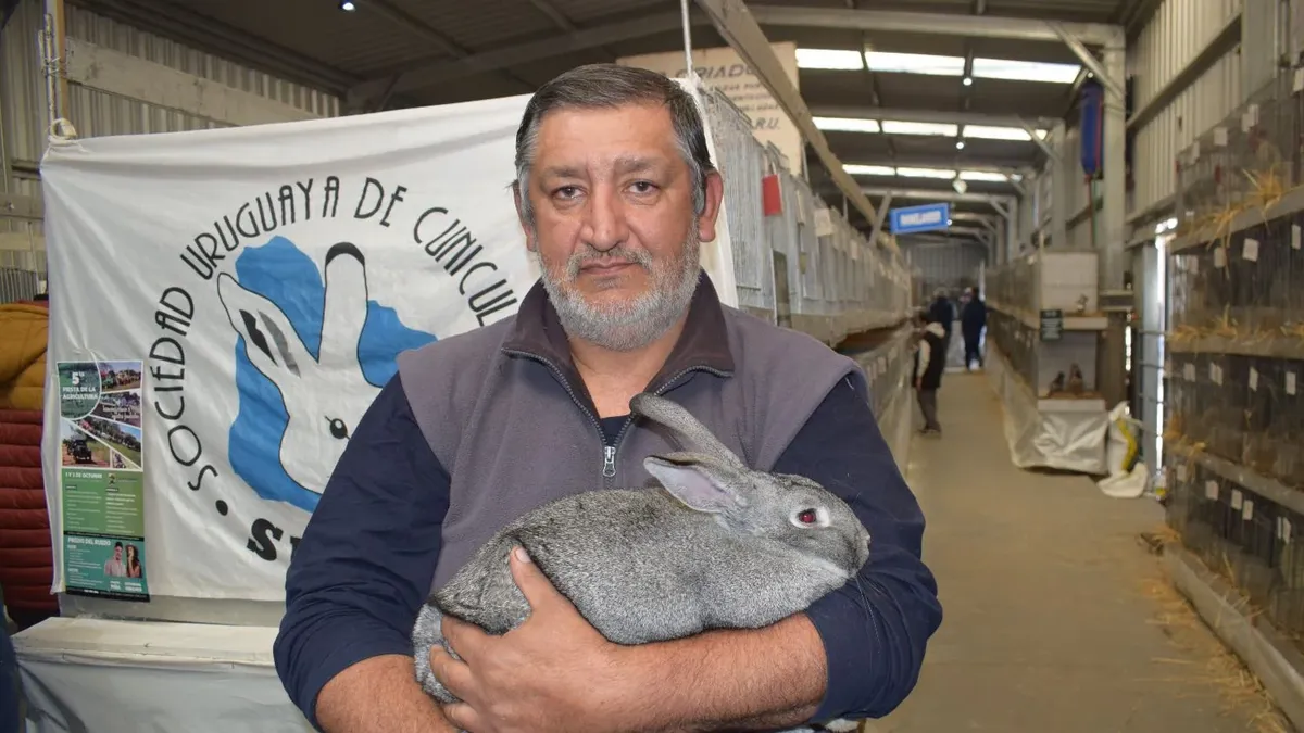 Llegó desde Carmelo, expuso al mejor de los 240 conejos y decidió regalarlo