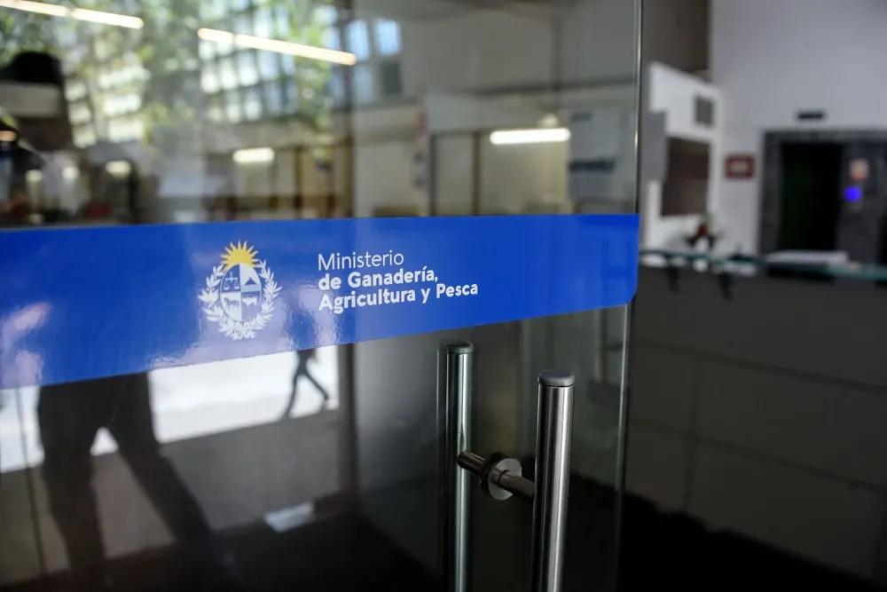 Llamado laboral del MGAP: pagos de $ 68.000 y $ 106.000