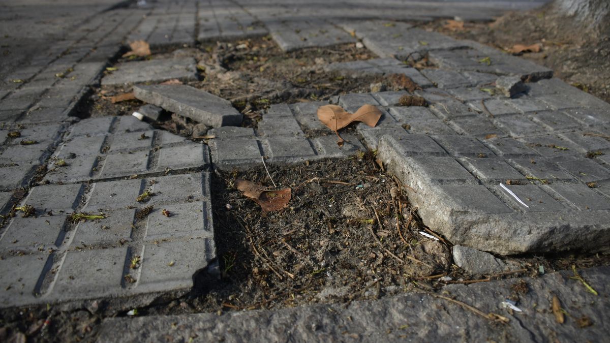 La IMM prepara el plan para arreglar cientos de kilómetros de veredas ...