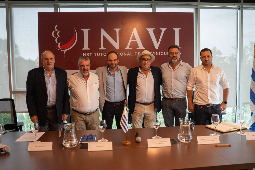 Spinoglio asumió la presidencia del Inavi y definió el tipo de ...