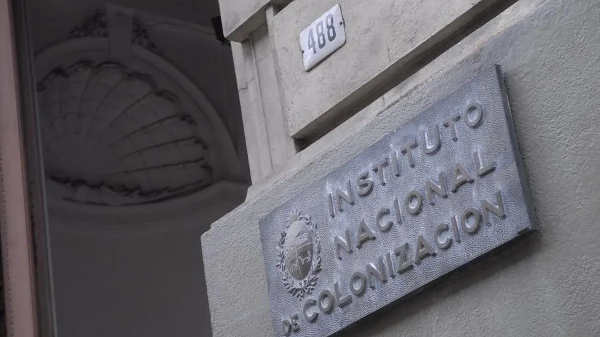 Tras desgaste por caso Manini, renunció la gerenta general de ...