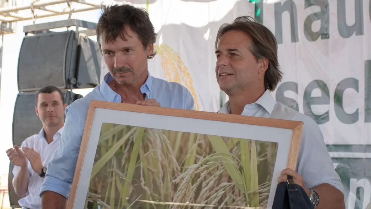 Juan José Mastropierro, su pasión por el arroz y lo que le dijo a ...