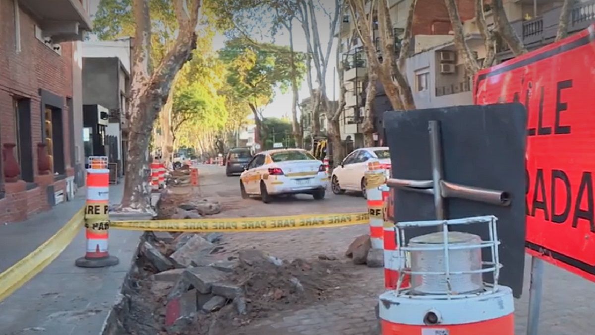 Comenzaron las obras para pavimentar los adoquines de la calle Williman ...
