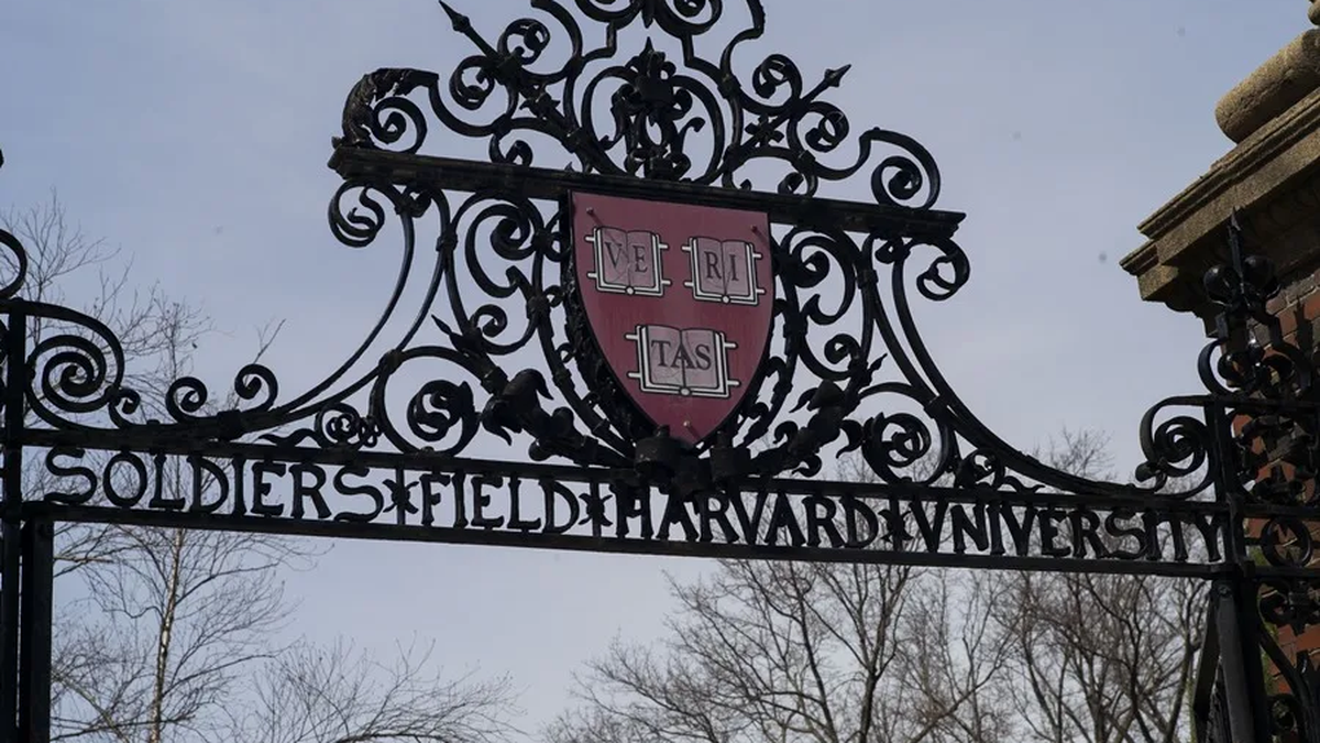 Trump quiere dar de baja los contratos federales con Harvard: las ...