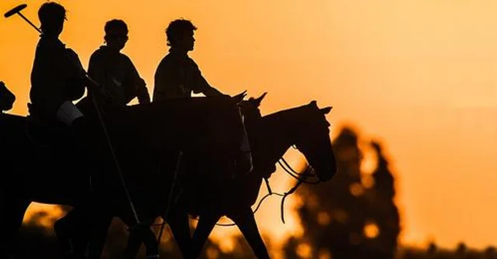 Científicos argentinos crearon los primeros caballos modificados ...