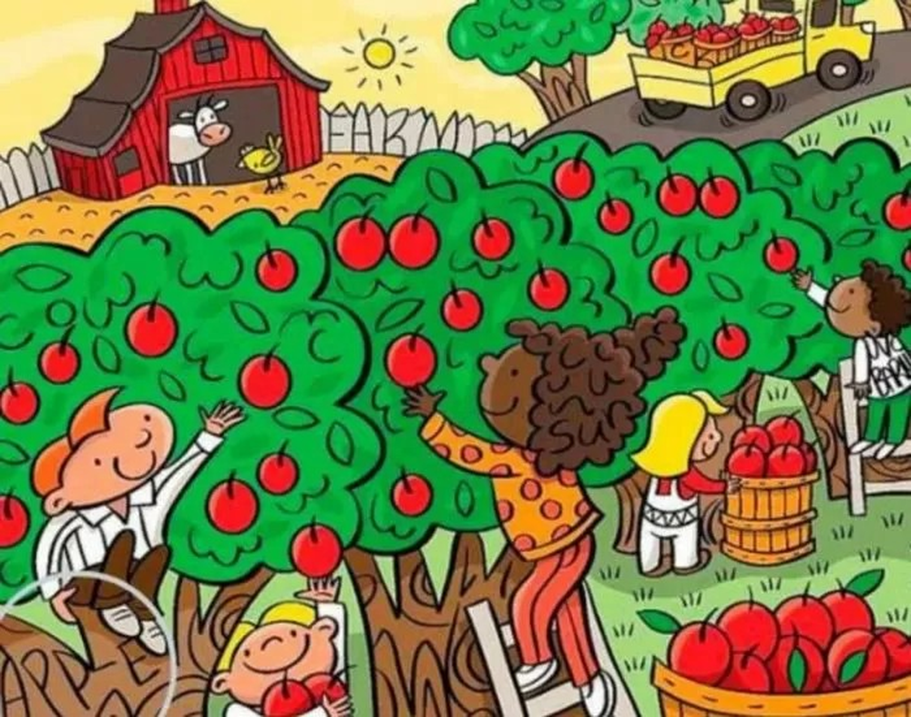 Conoce los 10 retos visuales más virales en redes sociales y cómo ...