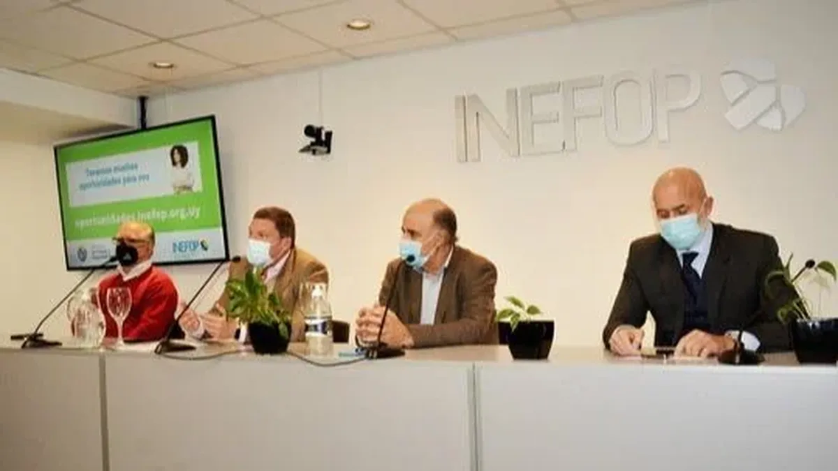 Los nuevos cursos de Inefop: cuáles son y cómo hacer para anotarse