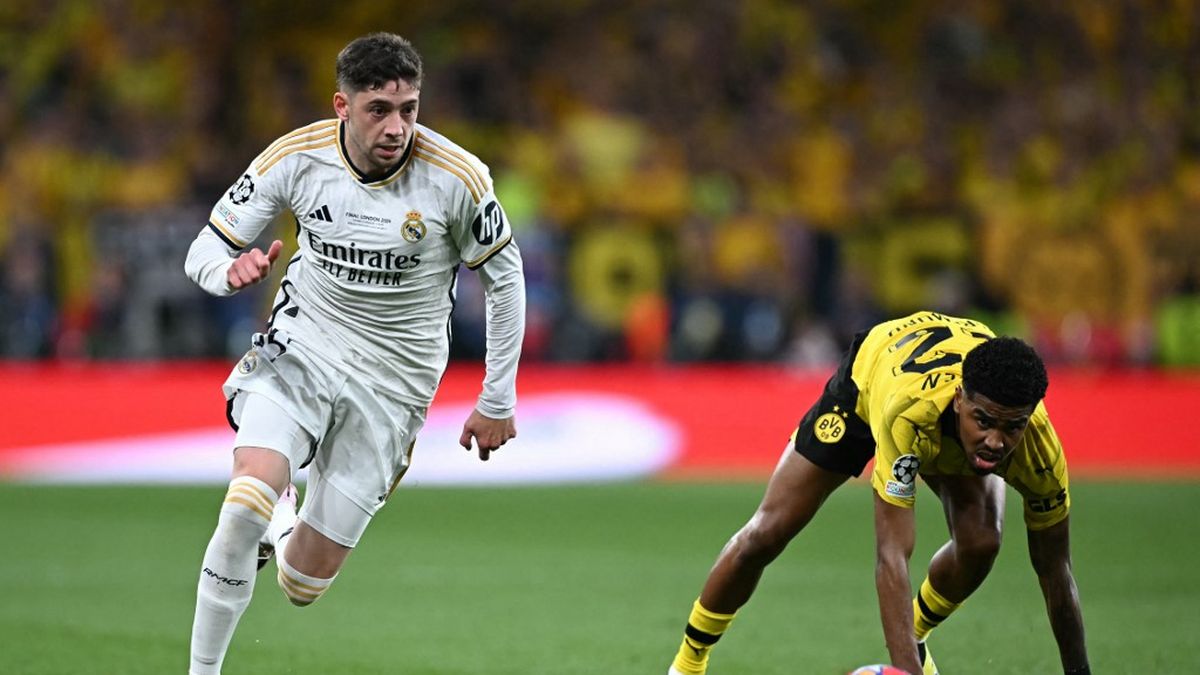 Champions League: la emotiva celebración de Federico Valverde con su ...