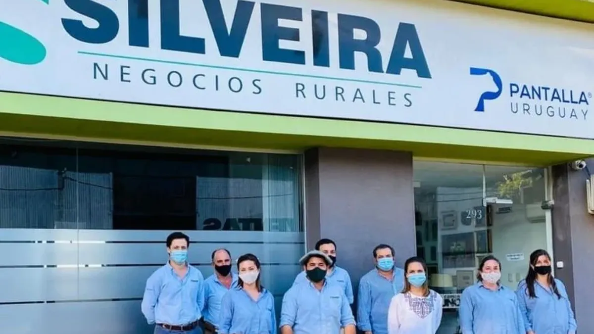 Silveira Negocios Rurales venderá Angus del Modelo