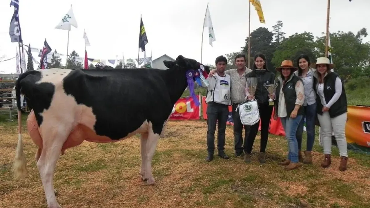Tercera cocarda de Gran Campeona PI para la vaca de La Palma SRL