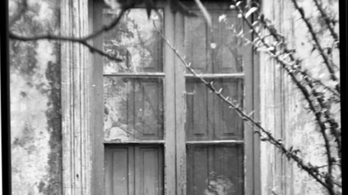 Al rescate de la mirada perdida: ¿quién fue Isabel Gilbert, cuya obra ...