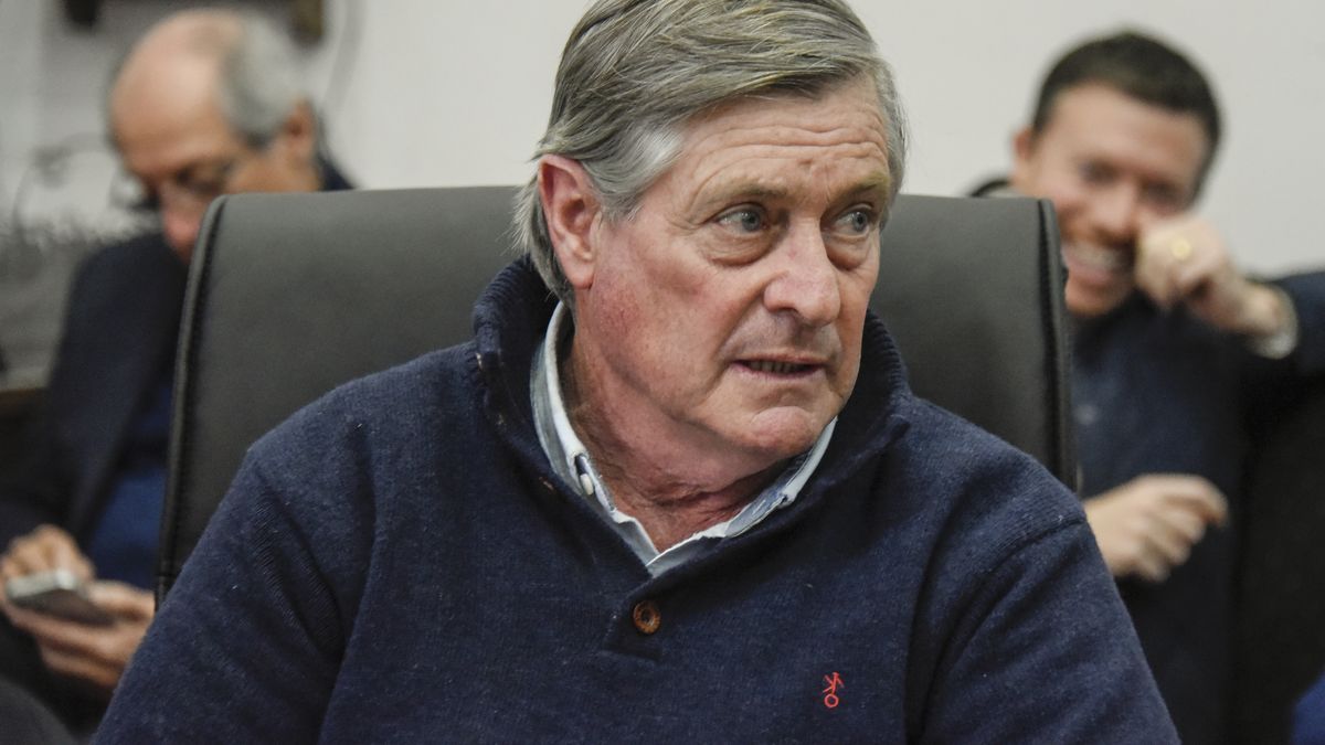 Corte Electoral tiene dos informes de la comisión sobre caso Besozzi ...