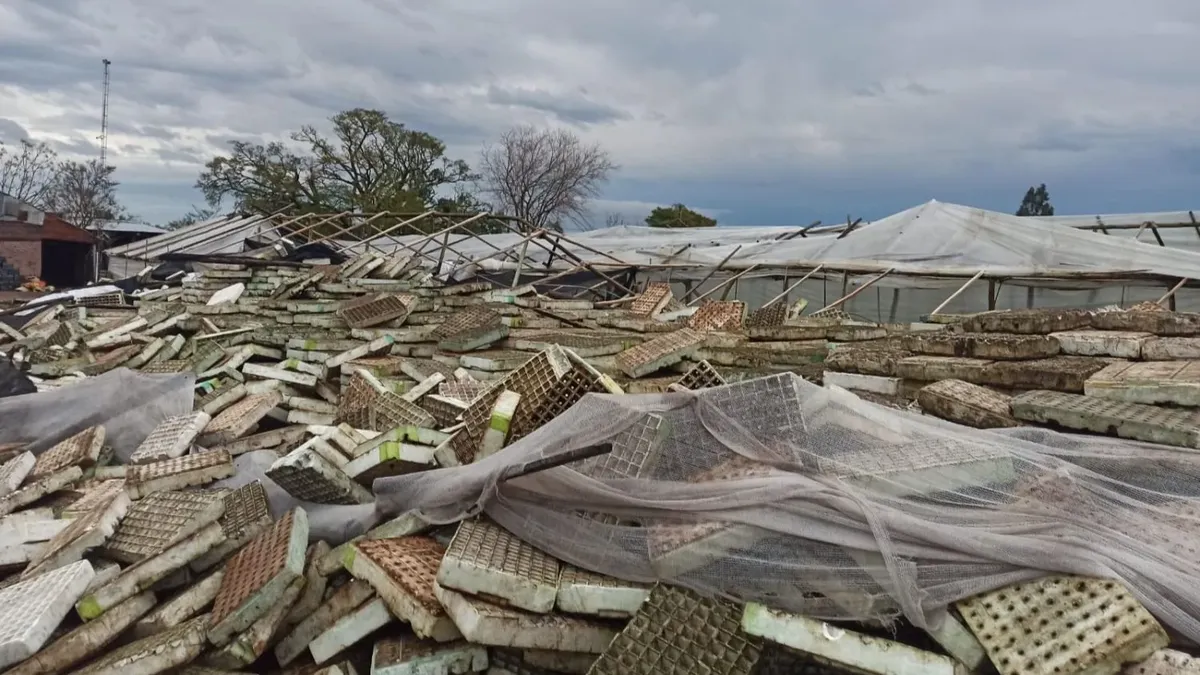 ¿Tornado, turbonada o viento fuerte? Las discrepancias entre Inumet y ...