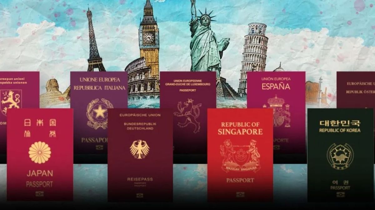 Pasaportes: ¿por qué tienen diferentes colores?, significado y factores ...