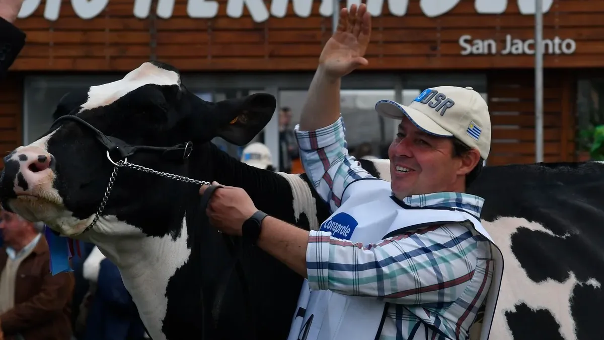 Magda llegó a 70 litros de leche en el día, tuvo cinco partos y es la ...