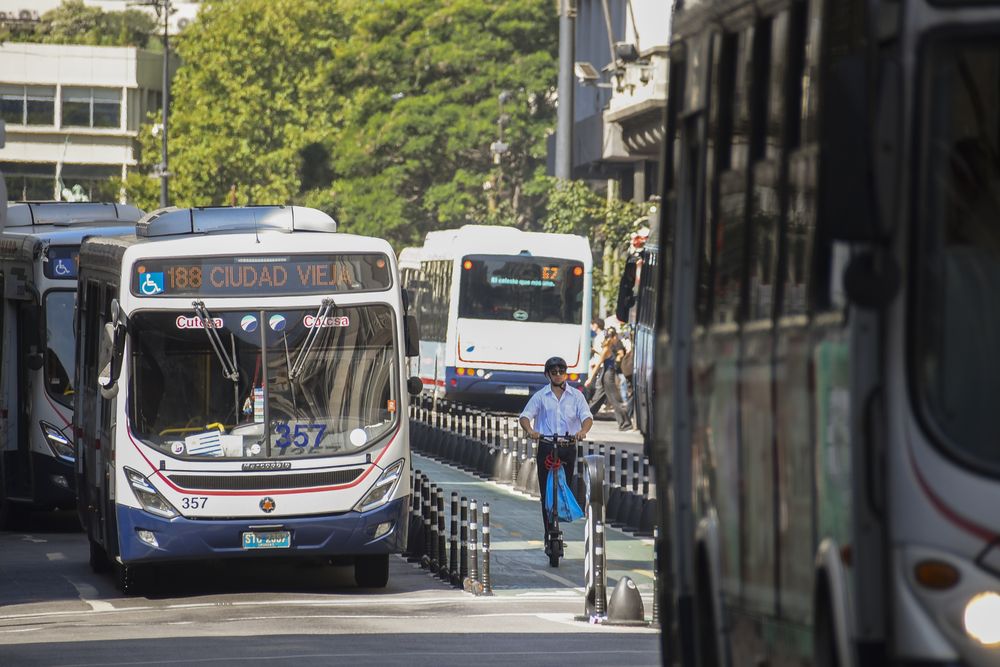 Feriado del 19 de junio: así funcionarán ómnibus, taxis y servicios ...