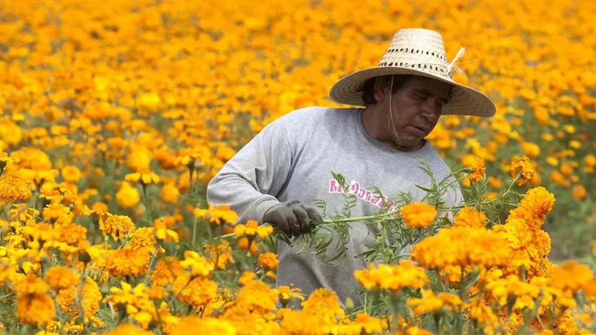 El mundo en imágenes (29/10)