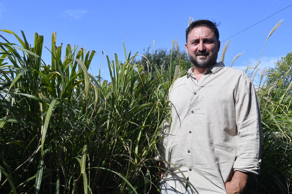 ¿Cómo se dio la llegada de Aldo Cauteruccio a Nacional? La idea de ...