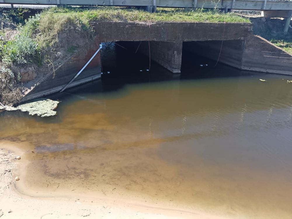La cañada sin nombre de Punta Colorada con contaminación fecal que los ...