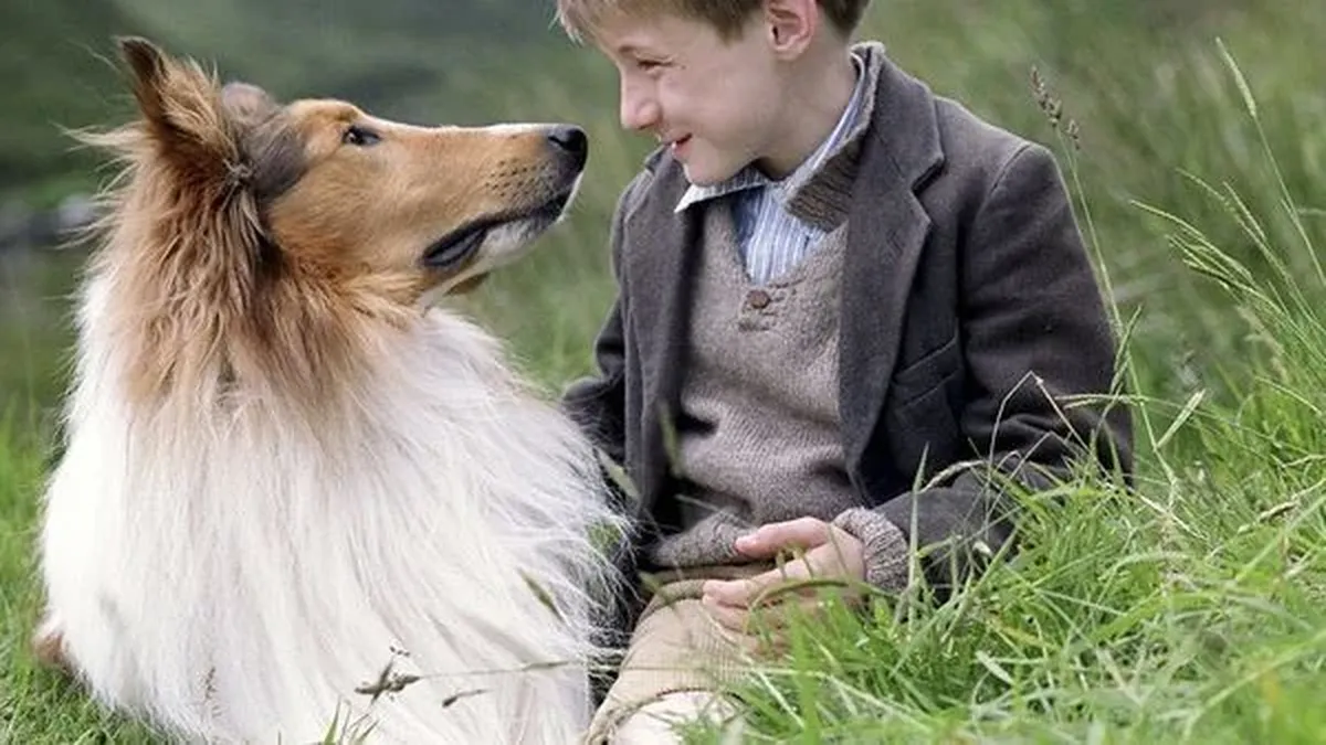 Lassie: una leyenda canina que dejó huella en el cine y la televisión