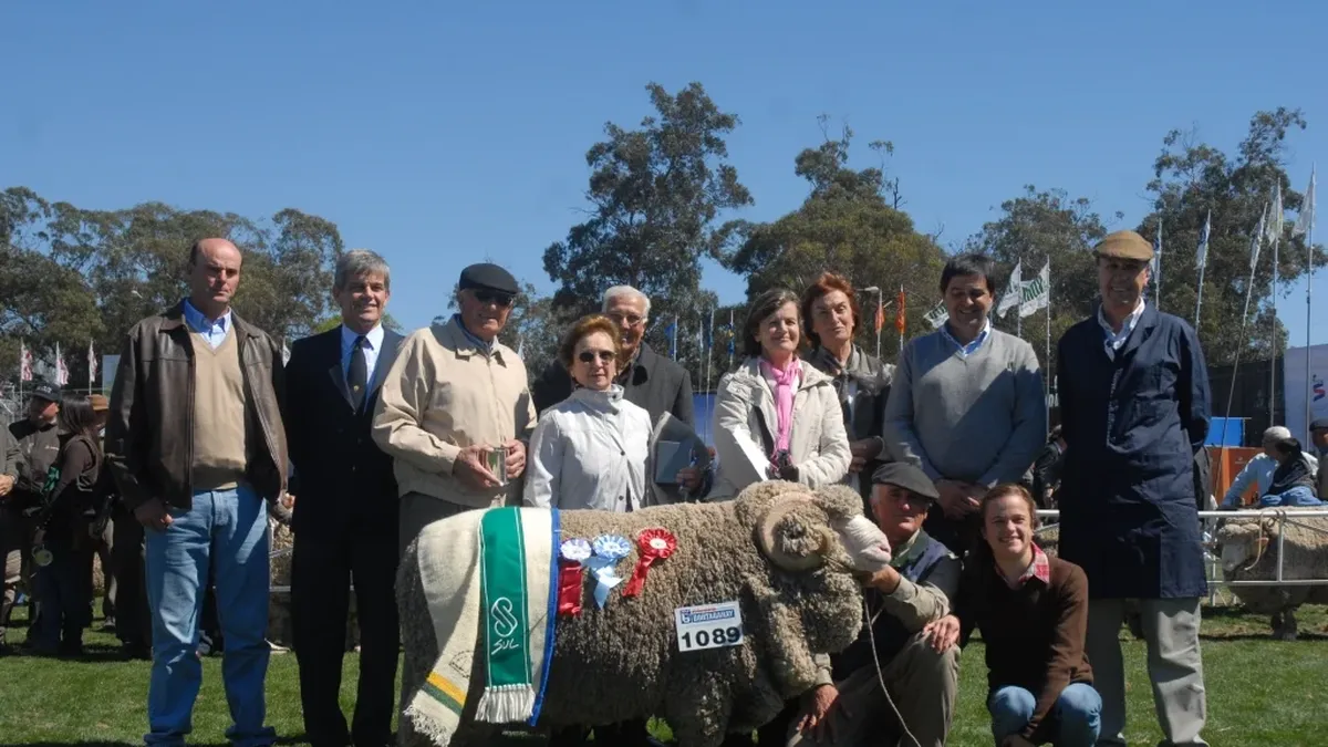 Los mejores Merino Australiano fueron de El Arazá, de Aguerre