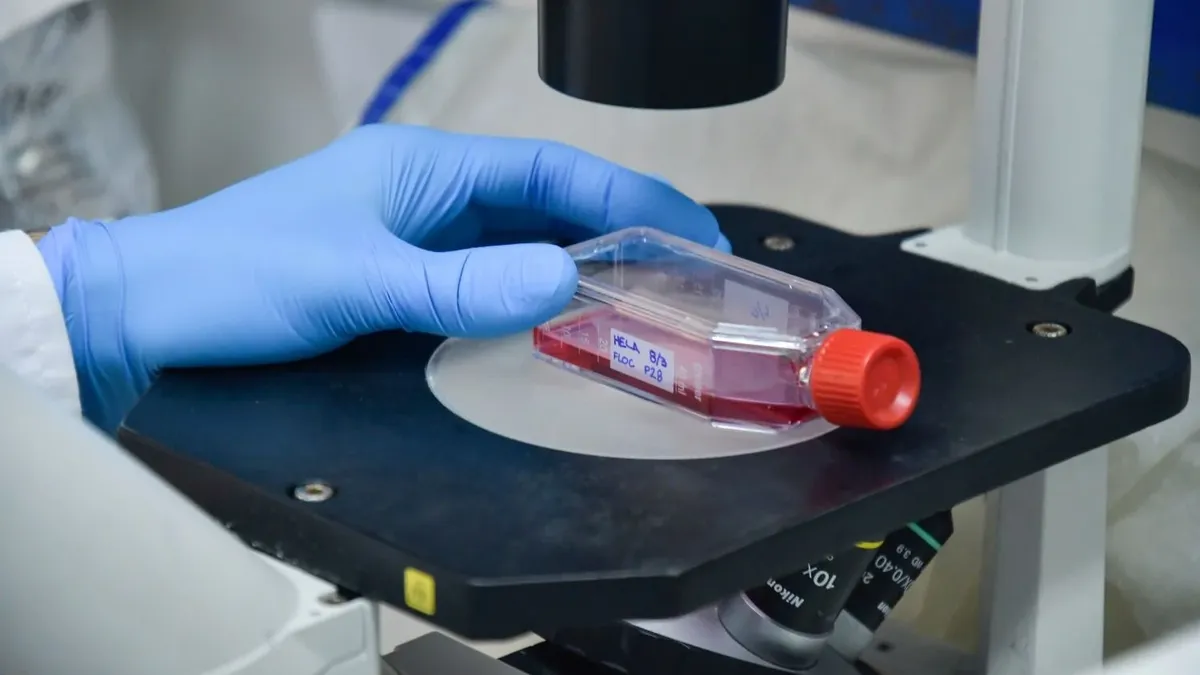 La Organización Mundial de la Salud actualizará la lista de patógenos ...