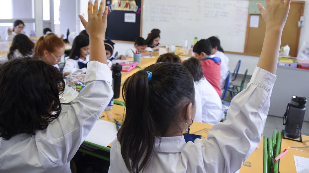 MEC presentó informes sobre textos de carácter informativo con ...