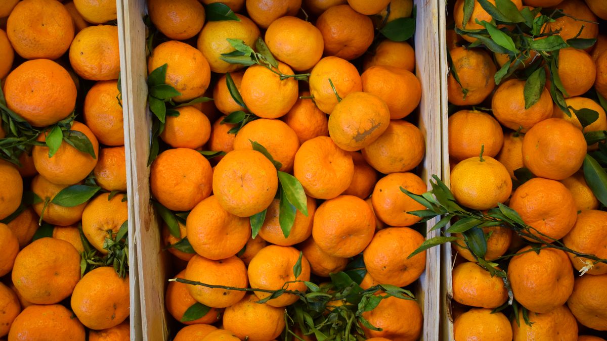 Las frutas y verduras de la Lista Inteligente que aconsejan comprar: 10 ...