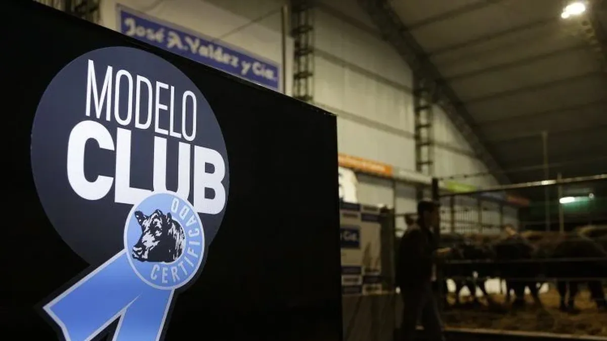 El primer Club Modelo fue un rematazo que llegó para quedarse