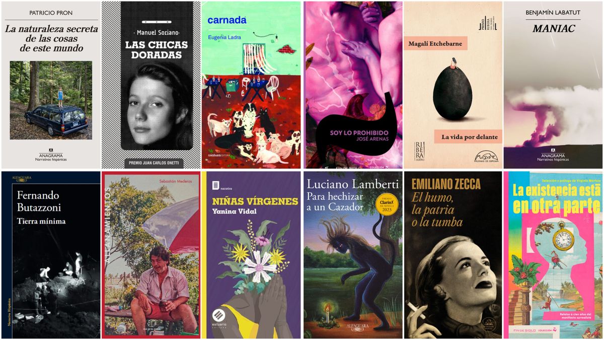 Doce libros (y un bonus track) que me llevo del 2024