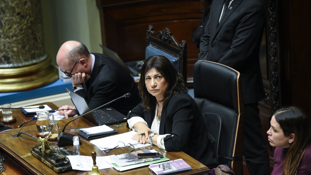 Polémica por proyecto de Blanca Rodríguez: Unicef sale al cruce de la ...