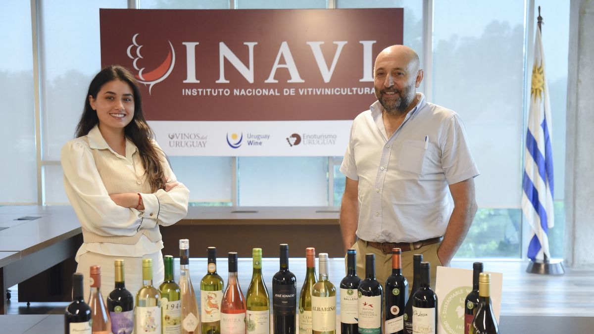 Sostenibilidad y viticultura: el programa que INAVI promueve en todo el ...