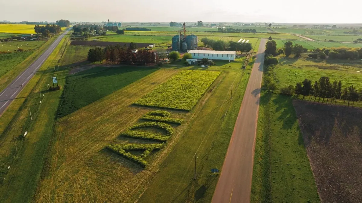 ADP - Agronegocios del Plata: negocios que fluyen con 167 empresas en red