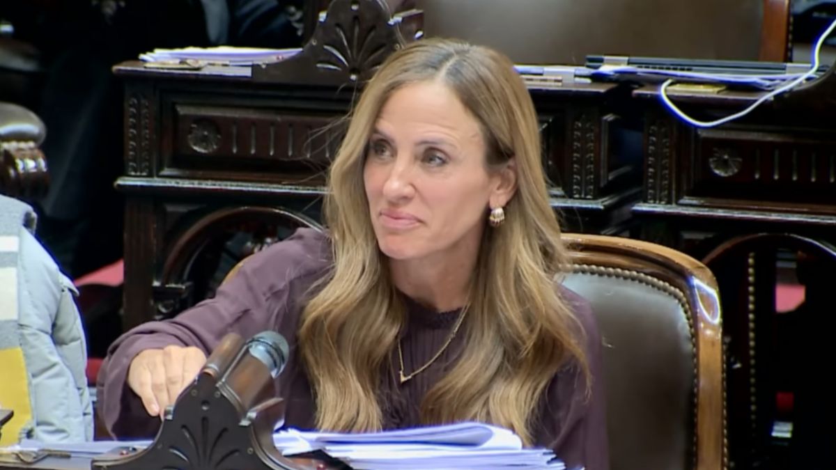 Victoria Tolosa Paz defendió el sistema público de salud y tildó a ...