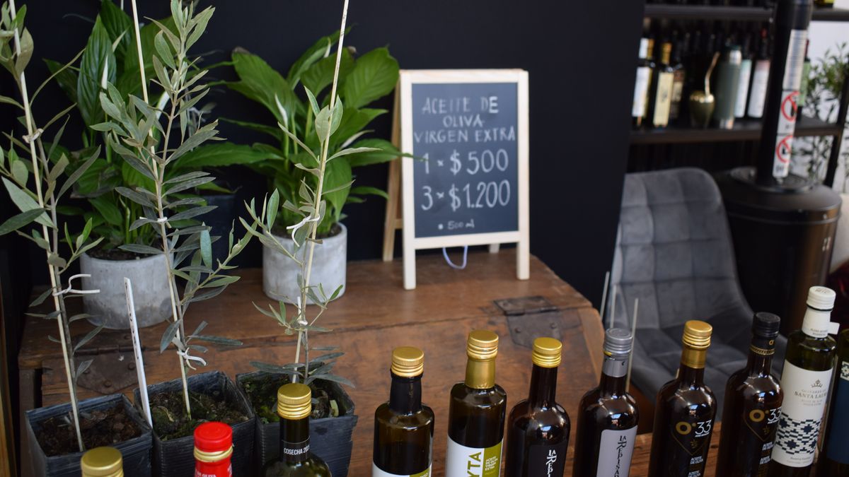 Sarah sophia hot pics i noticed her advertisement, and have