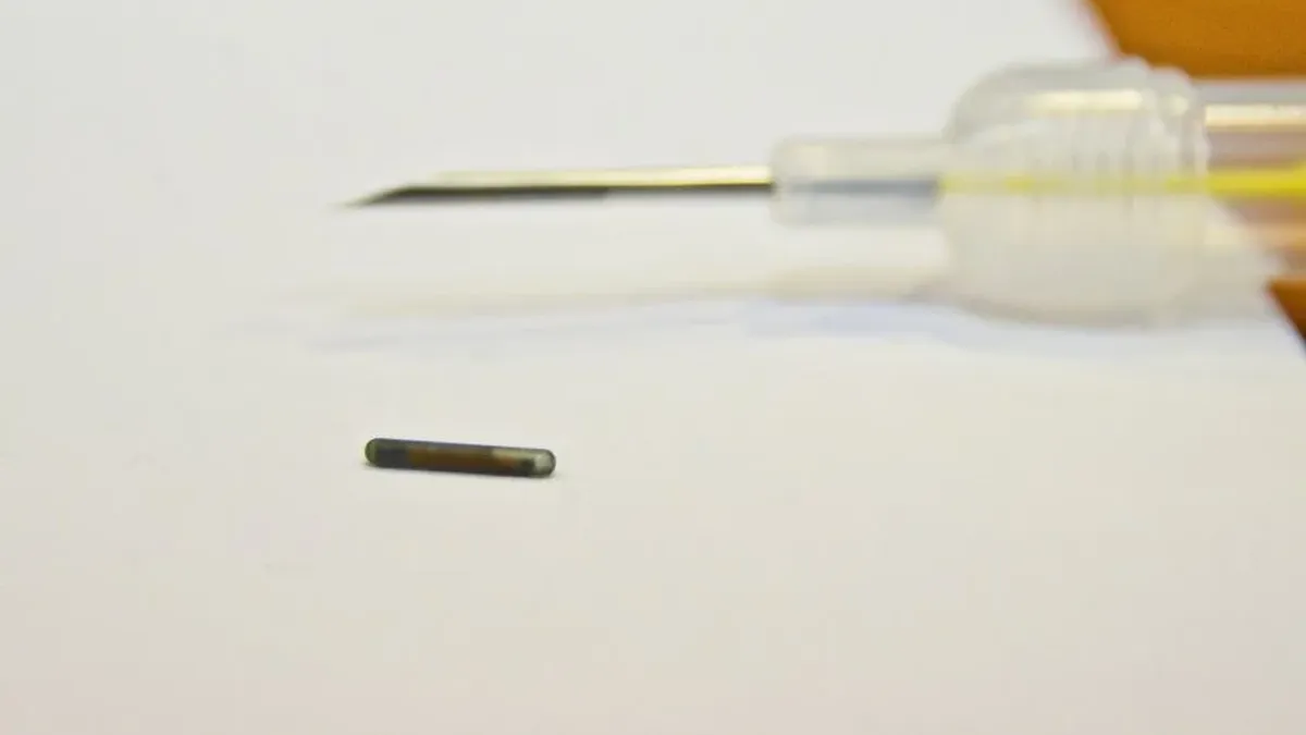 Chips para perros: para qué sirven, cómo se colocan y cuánto cuestan