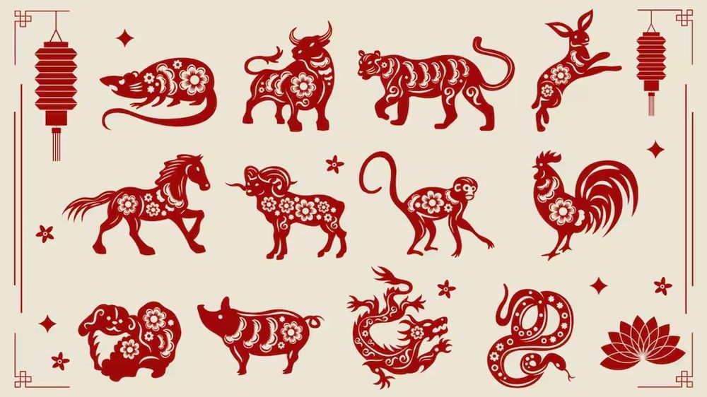 Año Nuevo Chino 2025 en Buenos Aires: días, agenda de actividades y ...