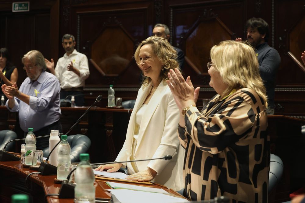 Laura Raffo asumió como senadora y presentó un proyecto de ley para ...