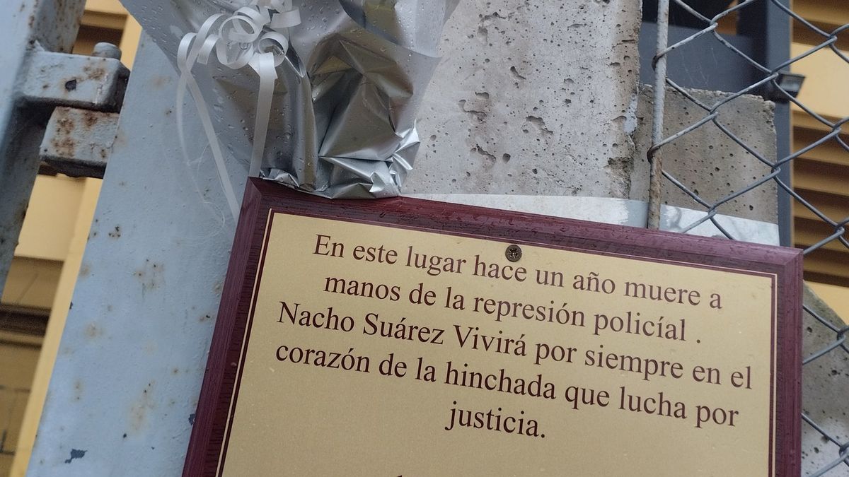 El homenaje de Barra Ámsterdam para Nacho Suárez, hincha de Peñarol por ...