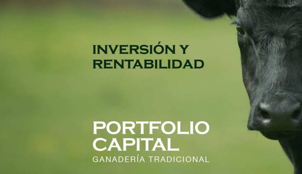 Inversores de Portfolio Capital aseguran que no compraban ganado con el dinero de los inversores ...