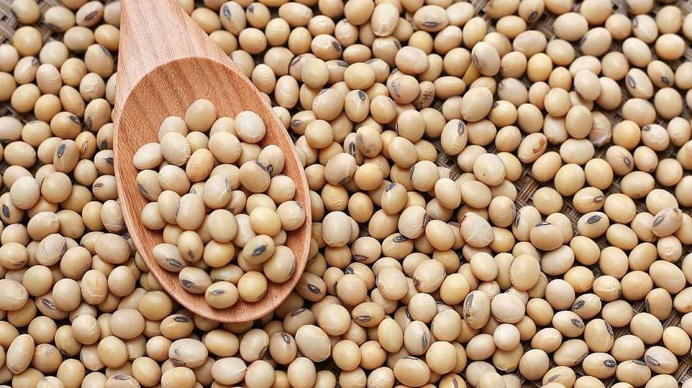 Qué es la colina, el nutriente que es vital para nuestro cerebro (y en ...