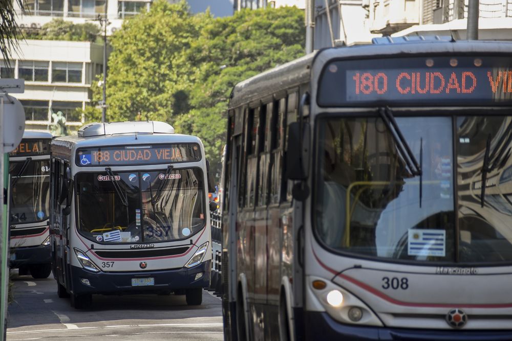 Cutcsa anunció que sus servicios funcionarán en forma normal este ...
