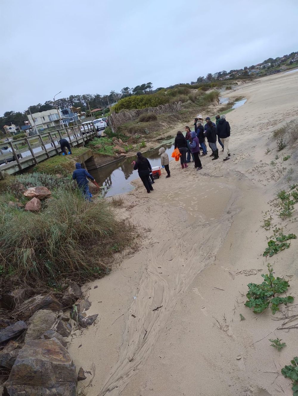 La cañada sin nombre de Punta Colorada con contaminación fecal que los ...