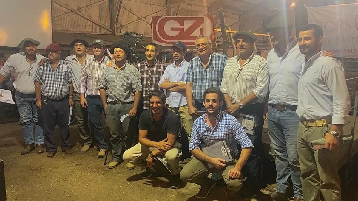 Un carnero Merino Australiano fue valorizado en US$ 10.000 en remate de ...