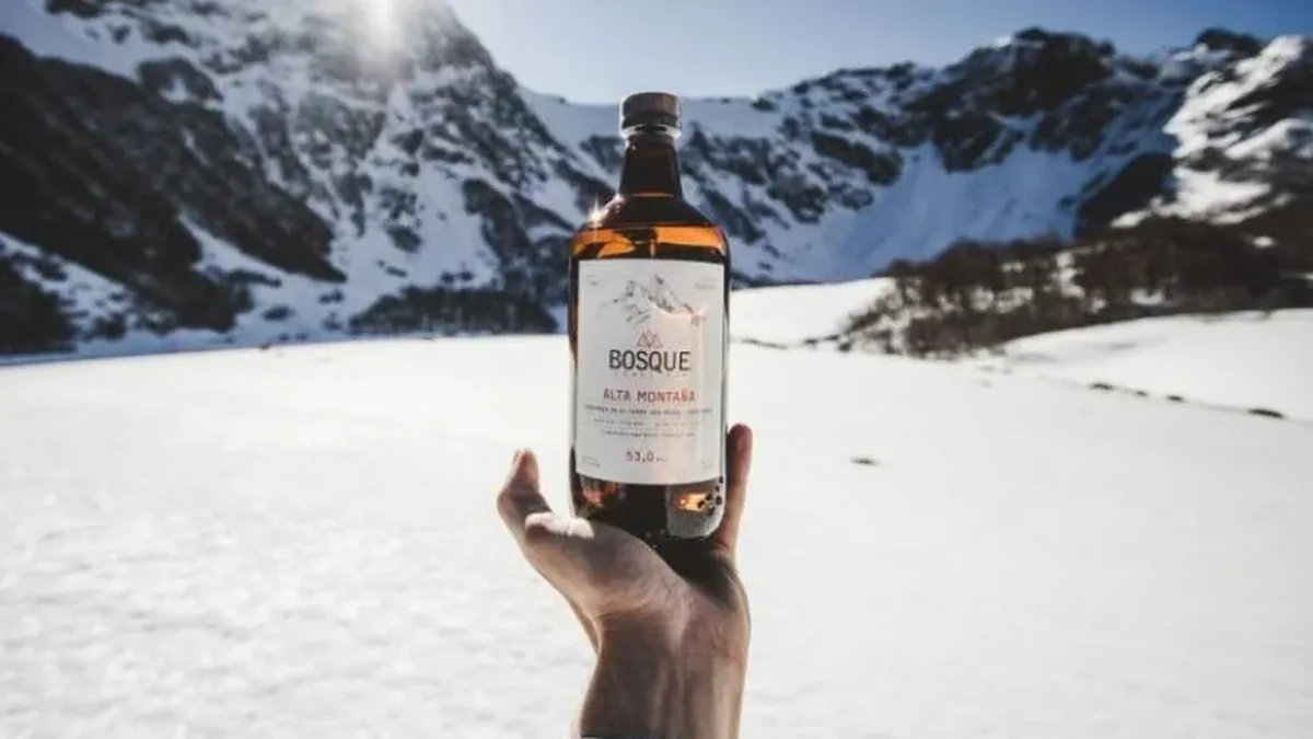 ¿Cuál es el mejor gin del mundo? Un certamen internacional armó la ...