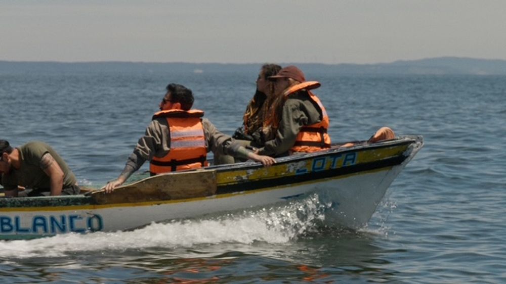 La nueva serie de Natalia Oreiro junto a Greenpeace en la que buscan rescatar a los Animales en ...