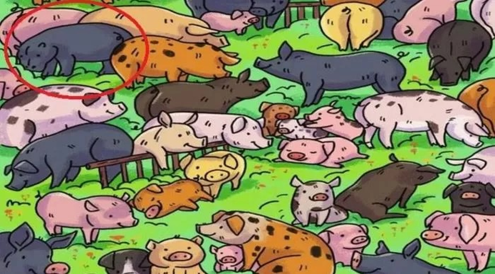 Conoce los 10 retos visuales más virales en redes sociales y cómo ...