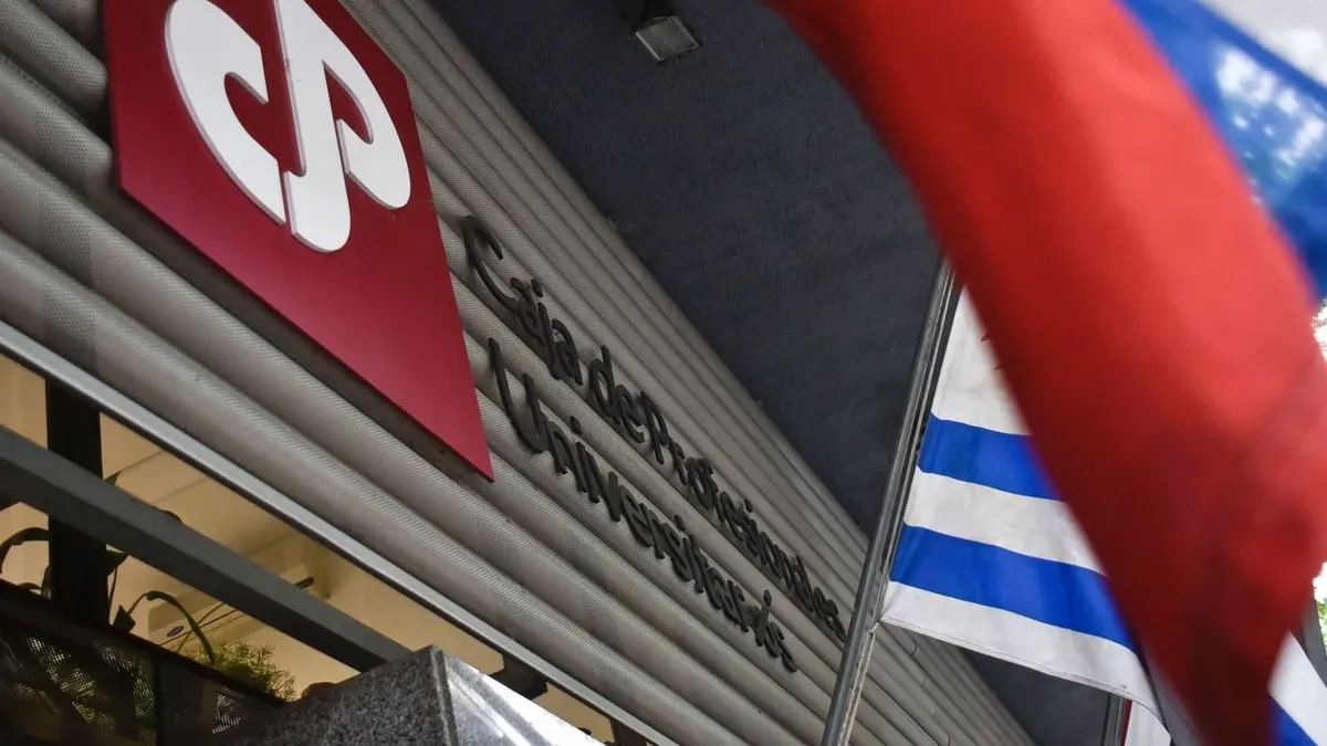 Reforma de Caja de Profesionales: cuáles son los aportes de activos ...