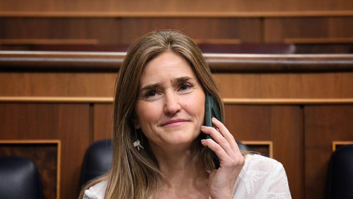 Sara Aagesen comparece en el Congreso por el apagón y la oposición ...